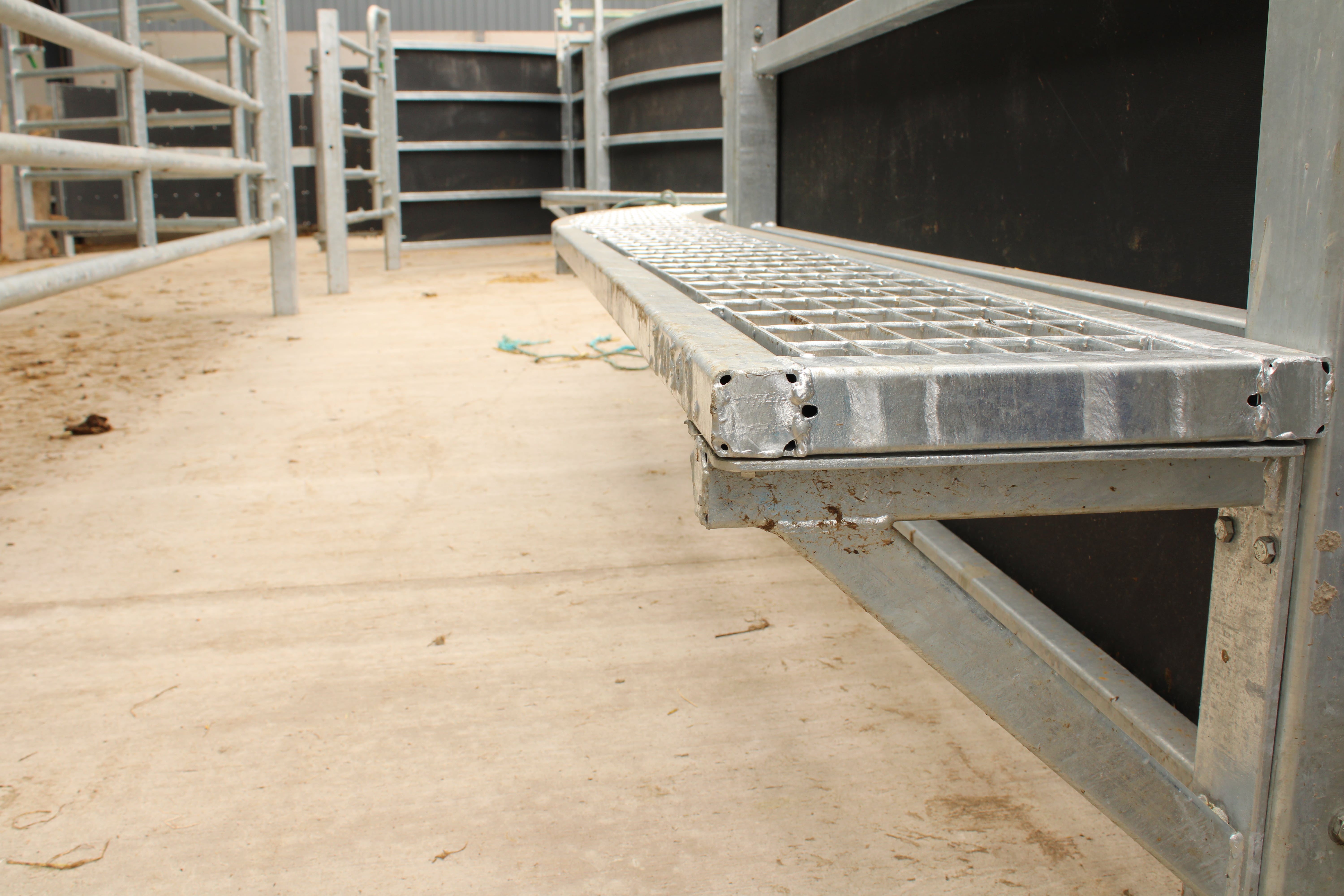 Maximising Efficiency and Animal Welfare: State-of-the-Art Calf to Beef ...