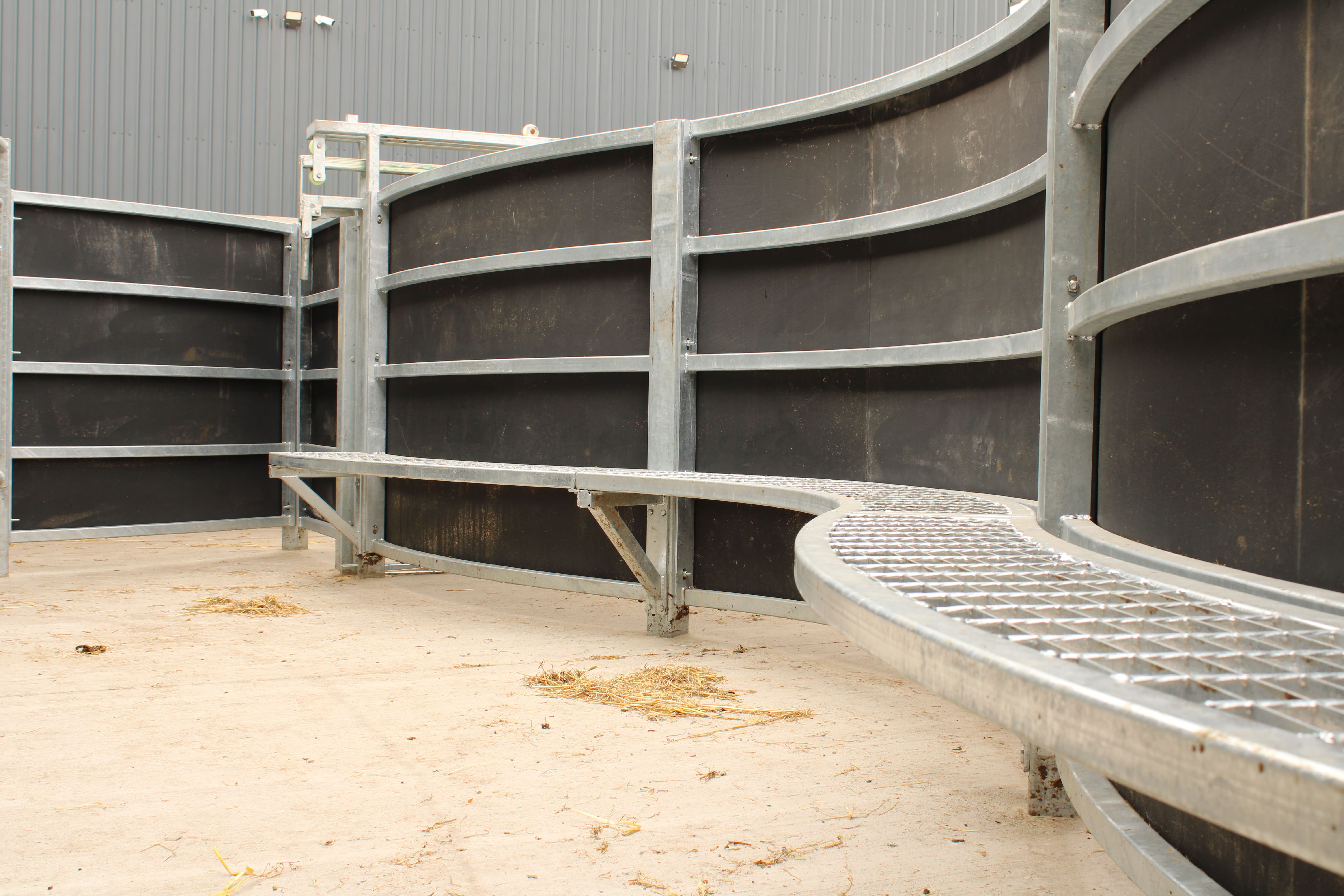 Maximising Efficiency and Animal Welfare: State-of-the-Art Calf to Beef ...