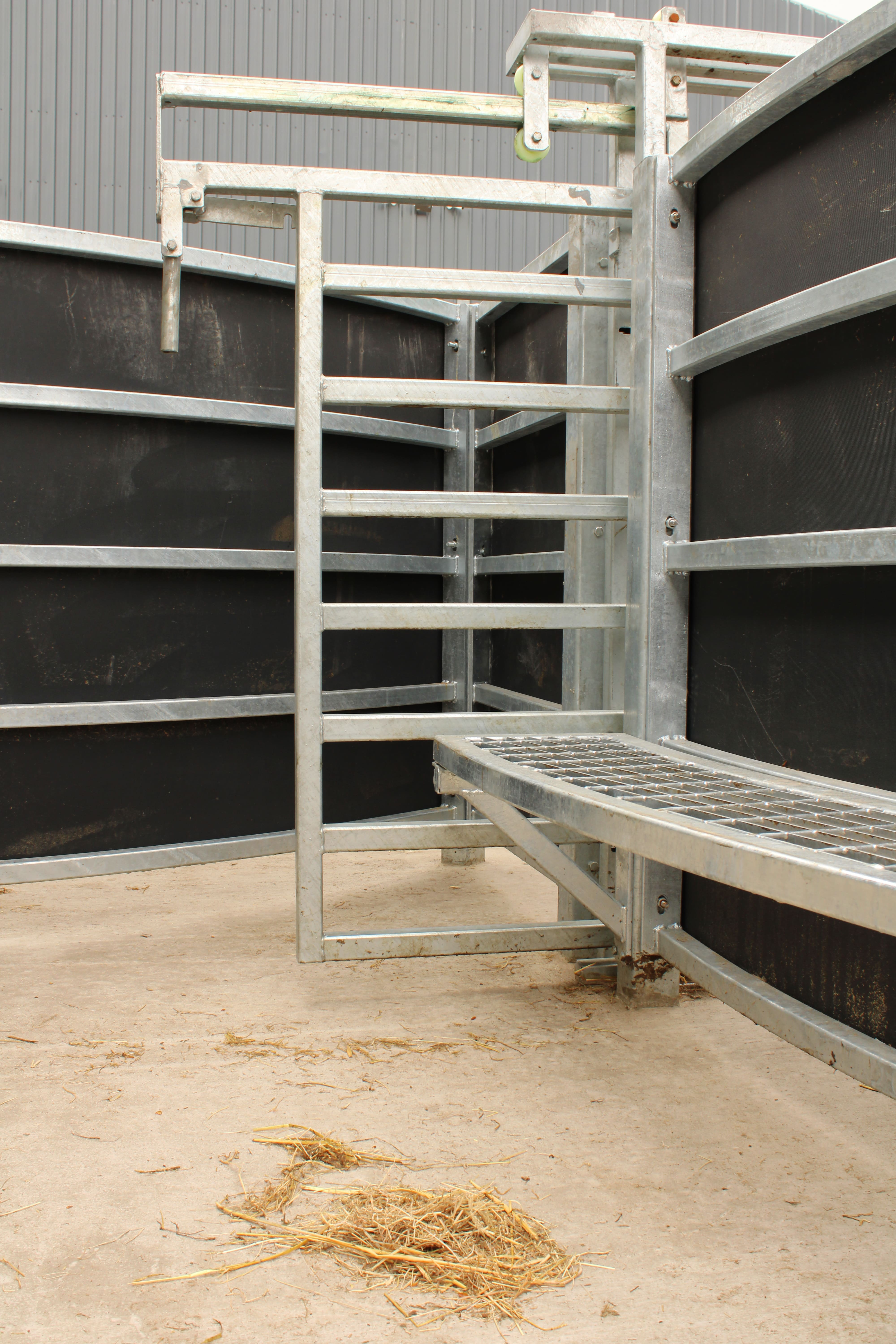 Maximising Efficiency and Animal Welfare: State-of-the-Art Calf to Beef ...