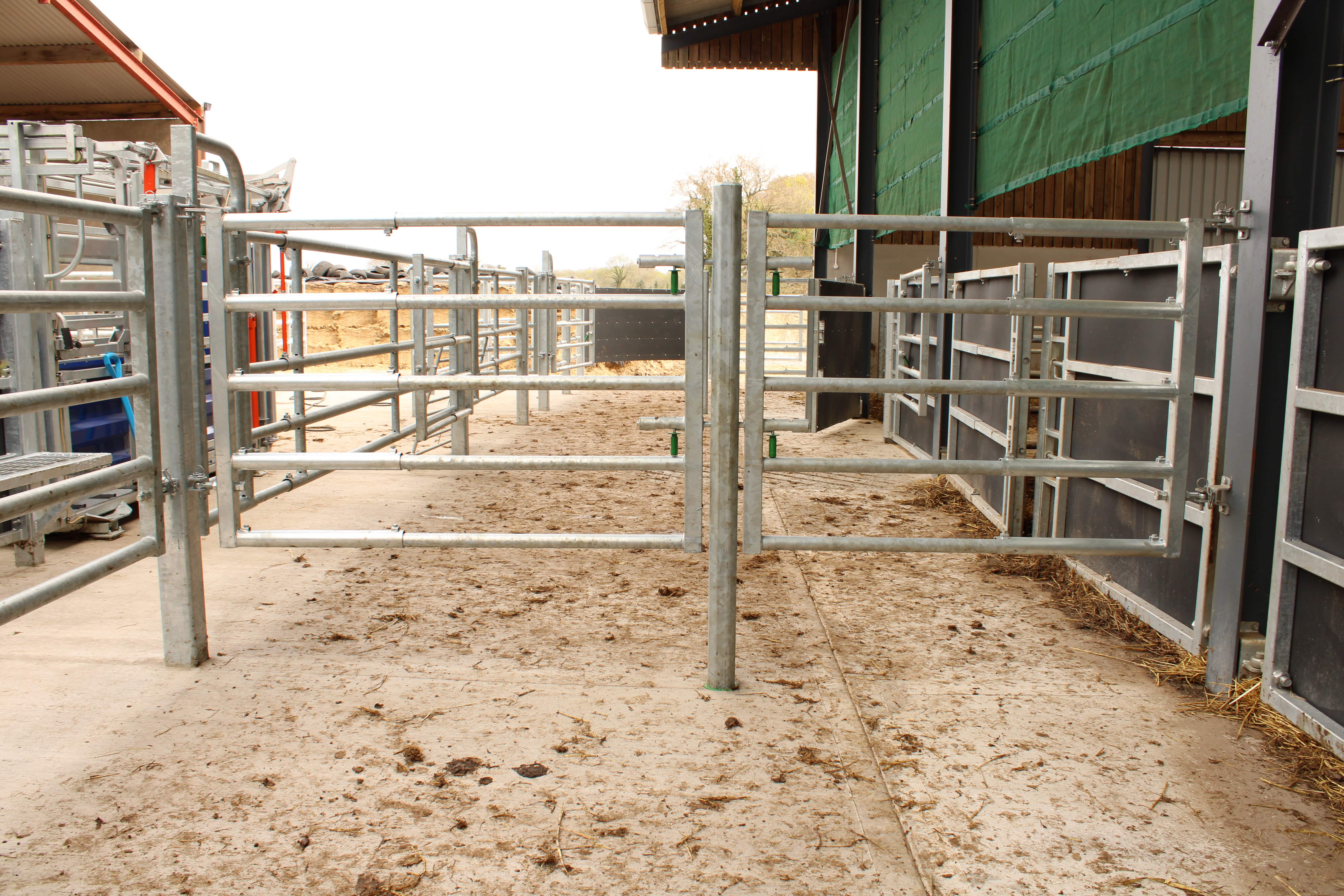 Maximising Efficiency and Animal Welfare: State-of-the-Art Calf to Beef ...