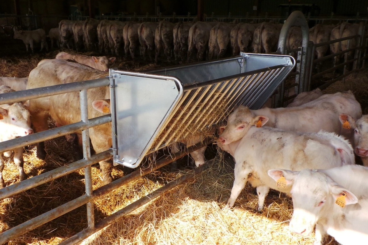 Modular Hay Rack - Teemore Engineering - Livestock Housing Specialists