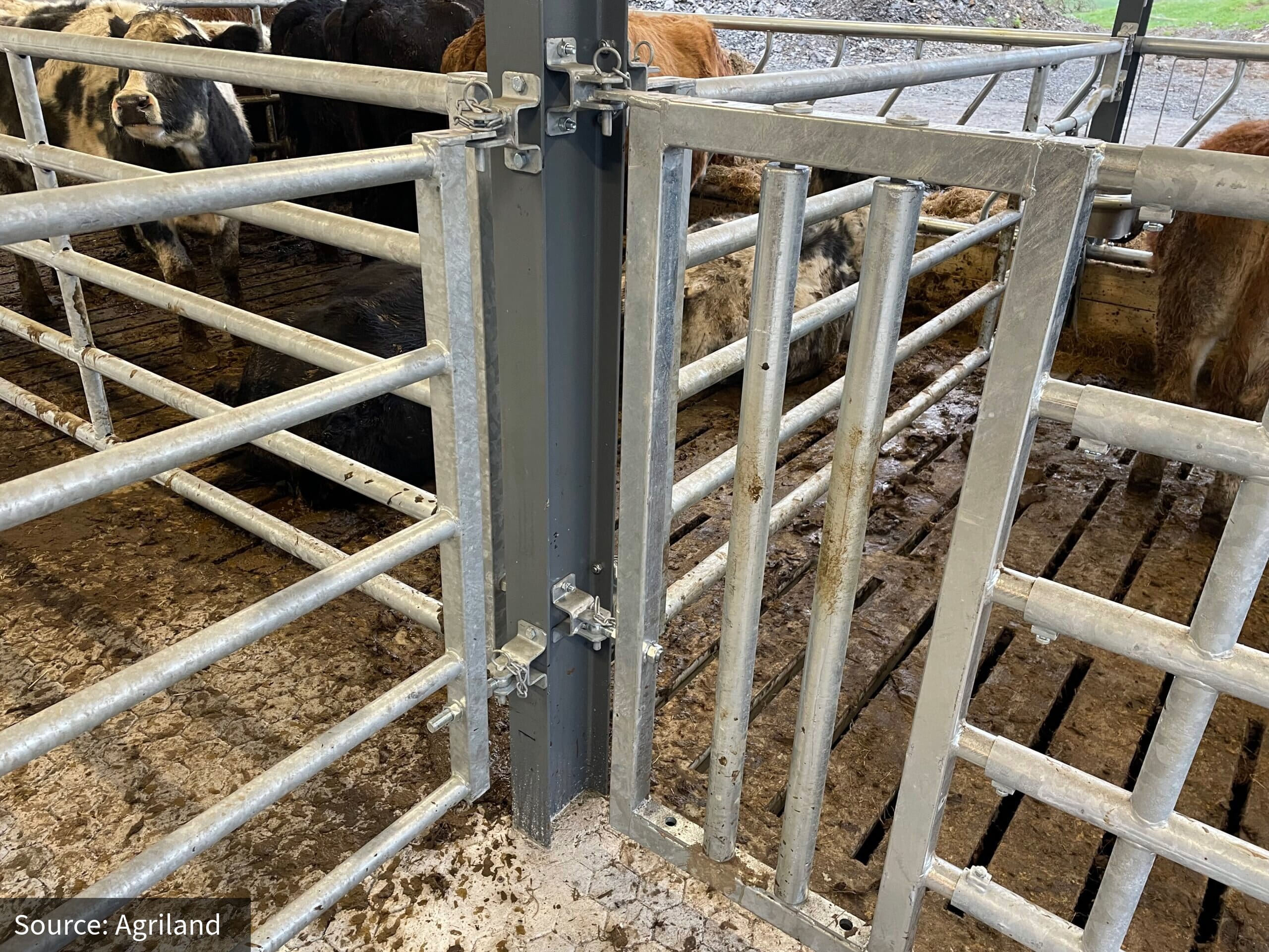 5 Bar Short Calf Creep End - Teemore Engineering - Livestock Housing ...