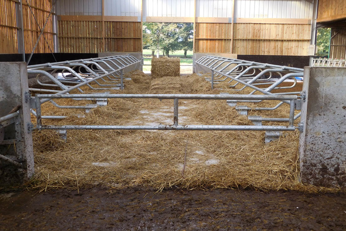 2 Bar Feed Rail - Teemore Engineering - Livestock Housing Specialists