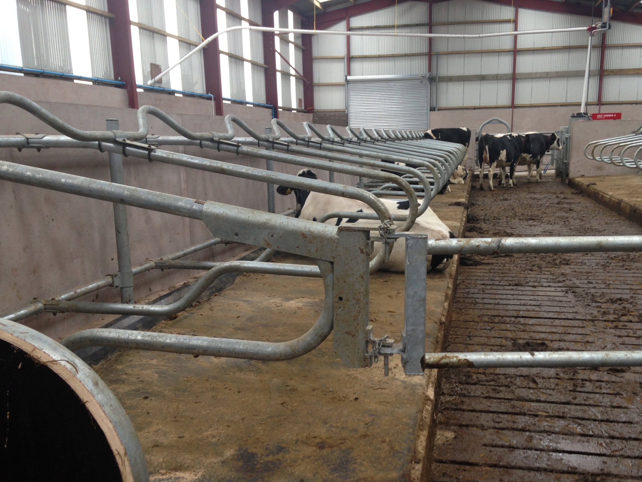 Cubicle Dividing Gate - Teemore Engineering - Livestock Housing Specialists