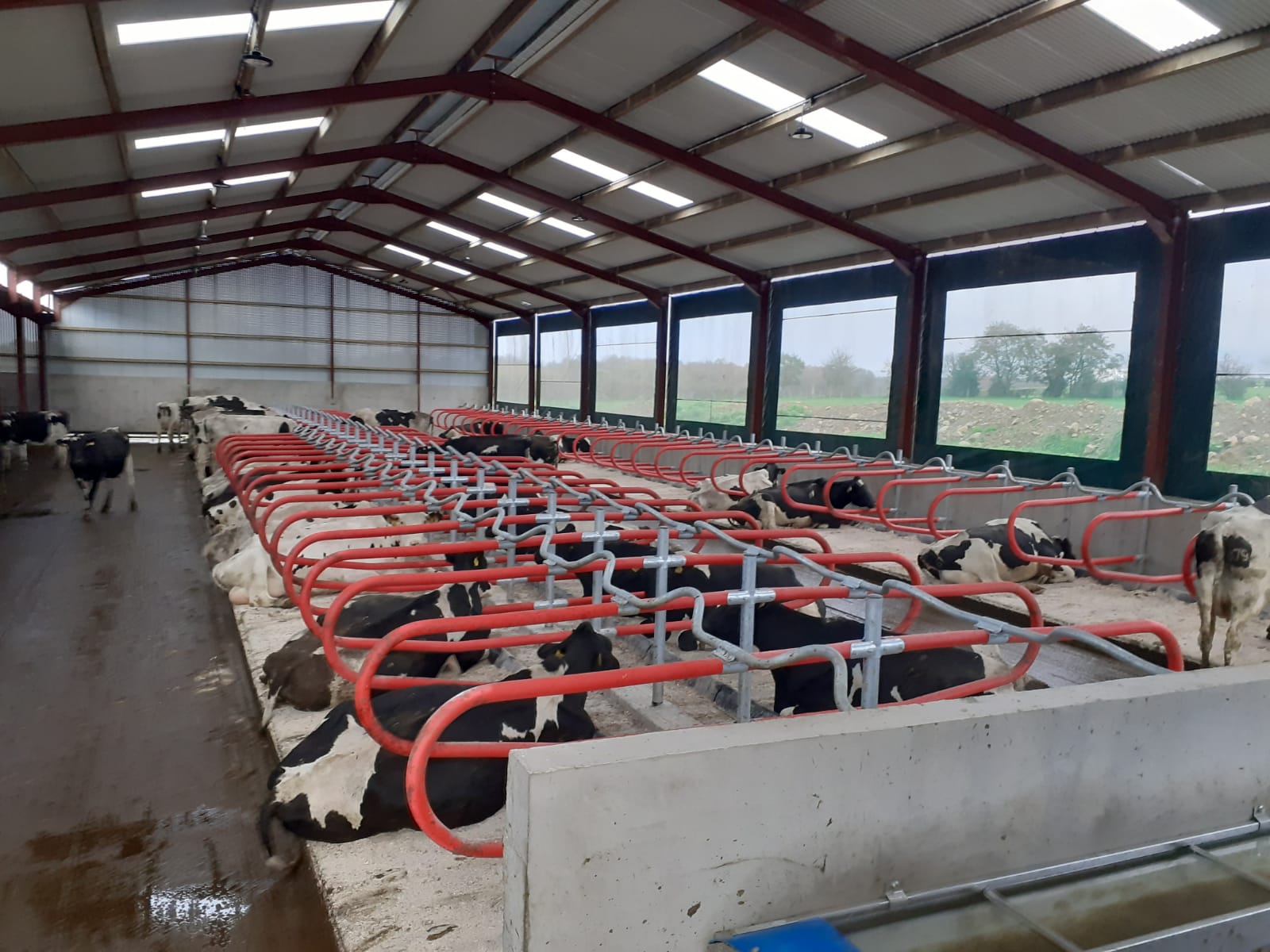 Plastic Cow Cubicle - Teemore Engineering - Livestock Housing Specialists