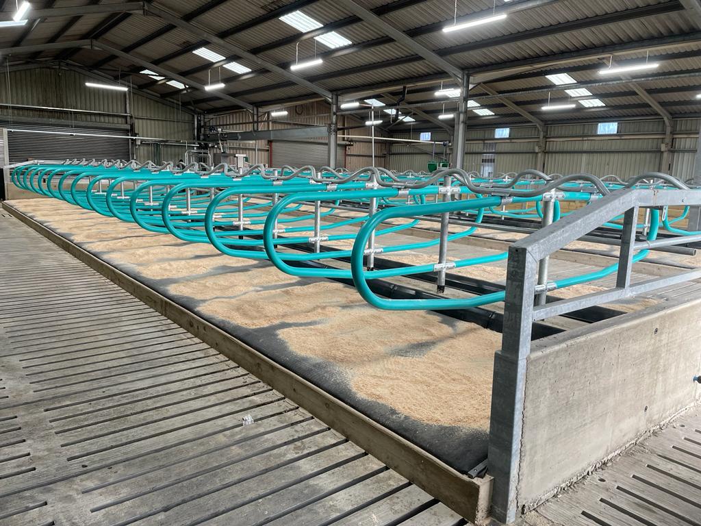Plastic Cow Cubicle - Teemore Engineering - Livestock Housing Specialists