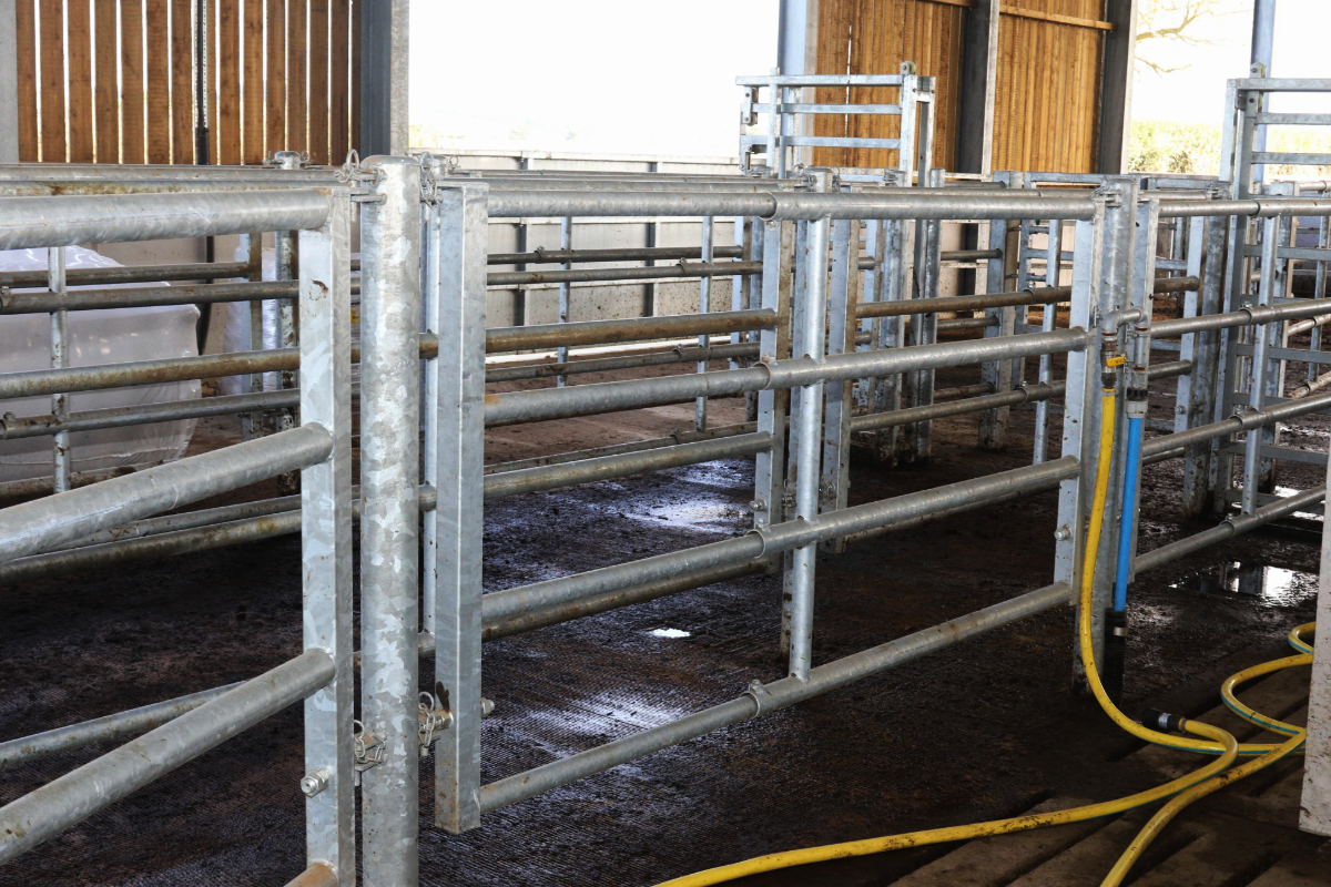 4 Bar Panel Gate End - Teemore Engineering - Livestock Housing Specialists