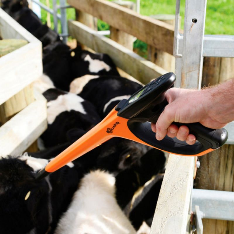 Gallagher EID Portable Tag Readers - Teemore Engineering - Livestock ...