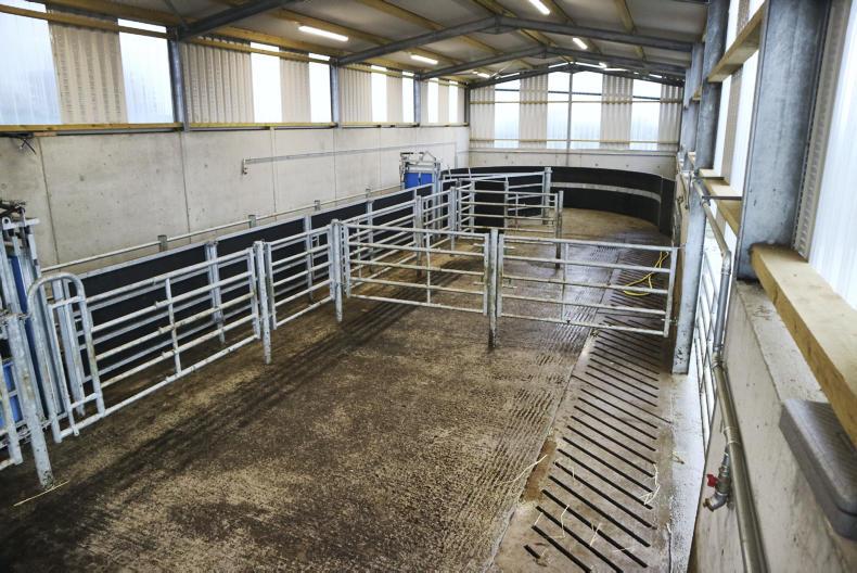State-of-the-art handling unit for 130 cow herd - Teemore Engineering ...