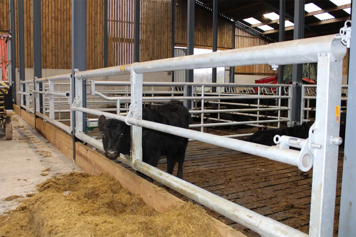 Jourdain 3 Bar Fattening Feed Rail - Teemore Engineering - Livestock ...