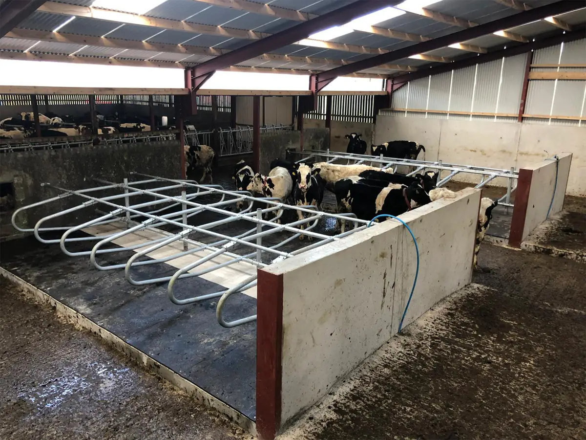 Calf Cubicles 6 - 12 Months - Teemore Engineering - Livestock Housing ...