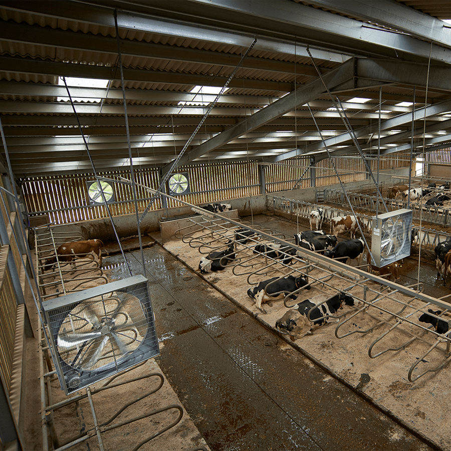 New ventilation products for calf housing, smaller cow sheds and equine ...