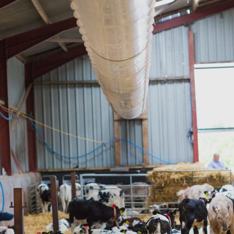 New ventilation products for calf housing, smaller cow sheds and equine ...