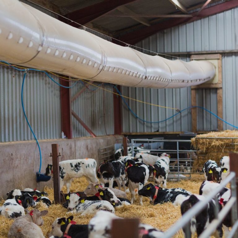 New ventilation products for calf housing, smaller cow sheds and equine ...