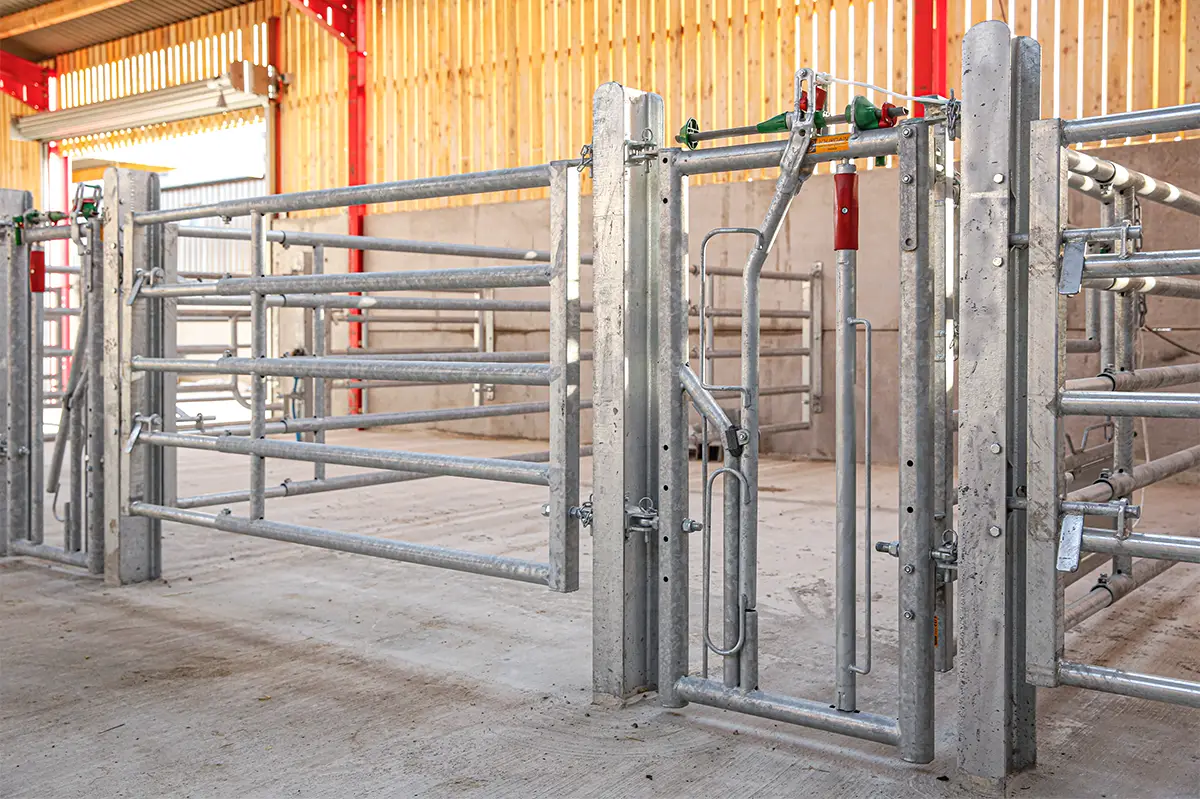 Jourdain Single Calving Yoke and Operating Gate - Teemore Engineering ...