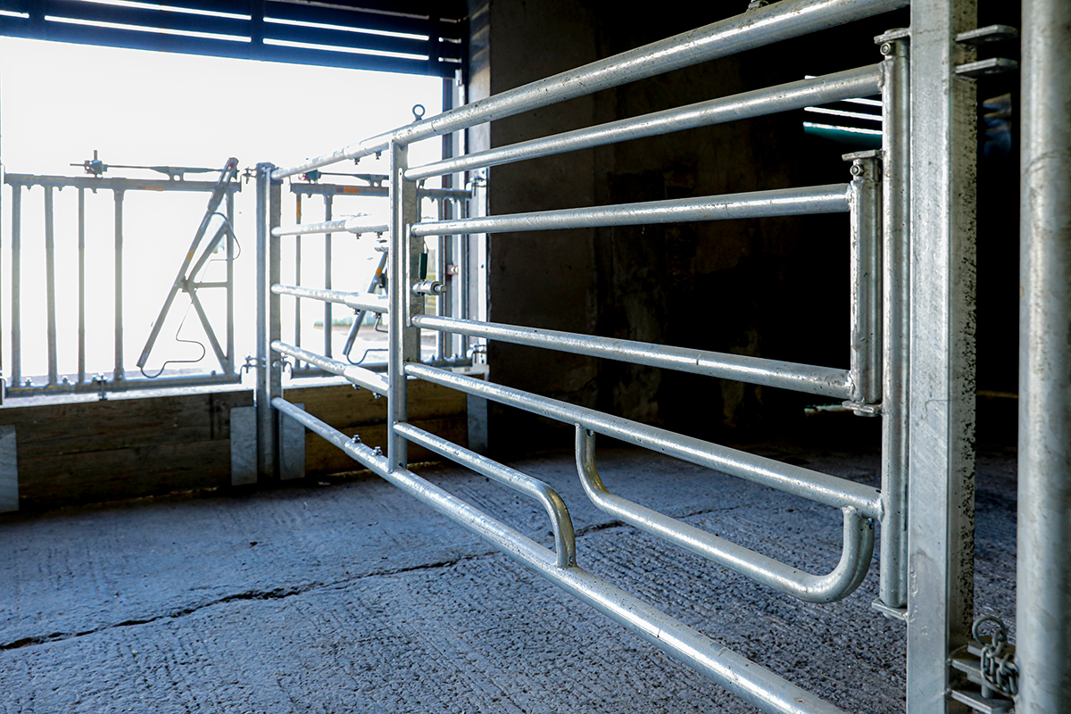 2 in 1 Calving Gate - Teemore Engineering - Livestock Housing Specialists
