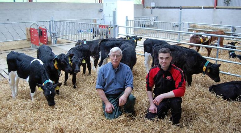 Bespoke calf rearing unit working a treat on Castlederg farm - Teemore ...
