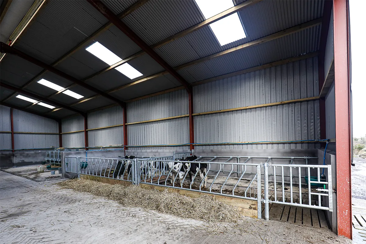 Calf Diagonal Barrier - Teemore Engineering - Livestock Housing Specialists