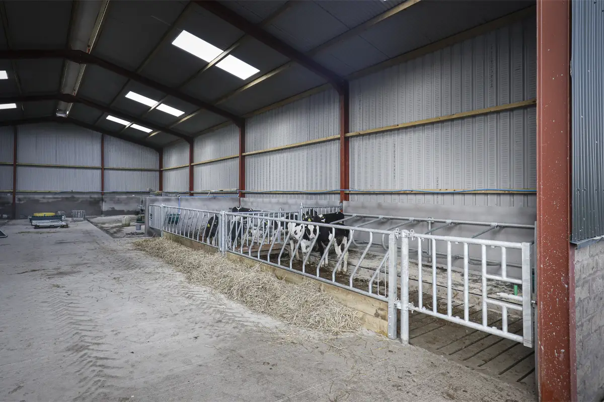 Calf Separation Panels - Teemore Engineering - Livestock Housing ...