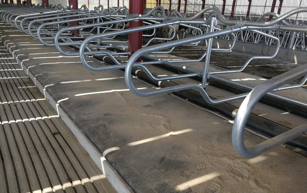 The new cubicle shed will be used to house cows in a confinement system ...