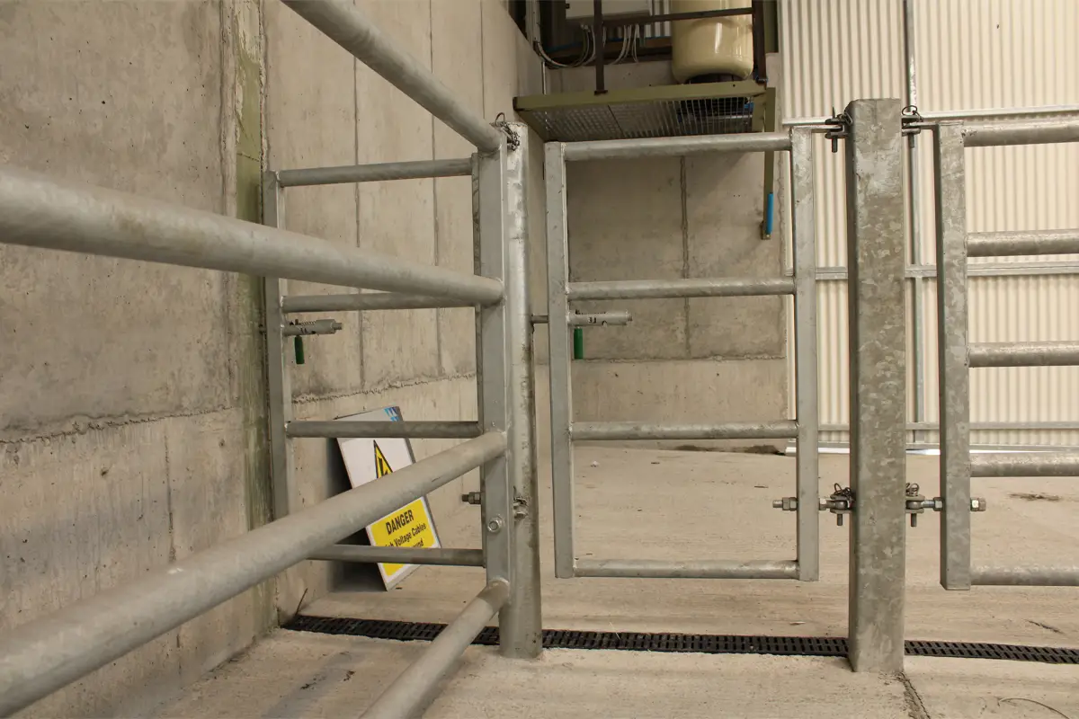 Crush Back/Side Access Gate - Teemore Engineering - Livestock Housing ...