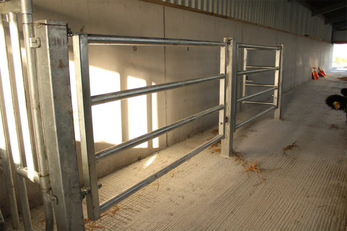 Crush Back/Side Access Gate - Teemore Engineering - Livestock Housing ...