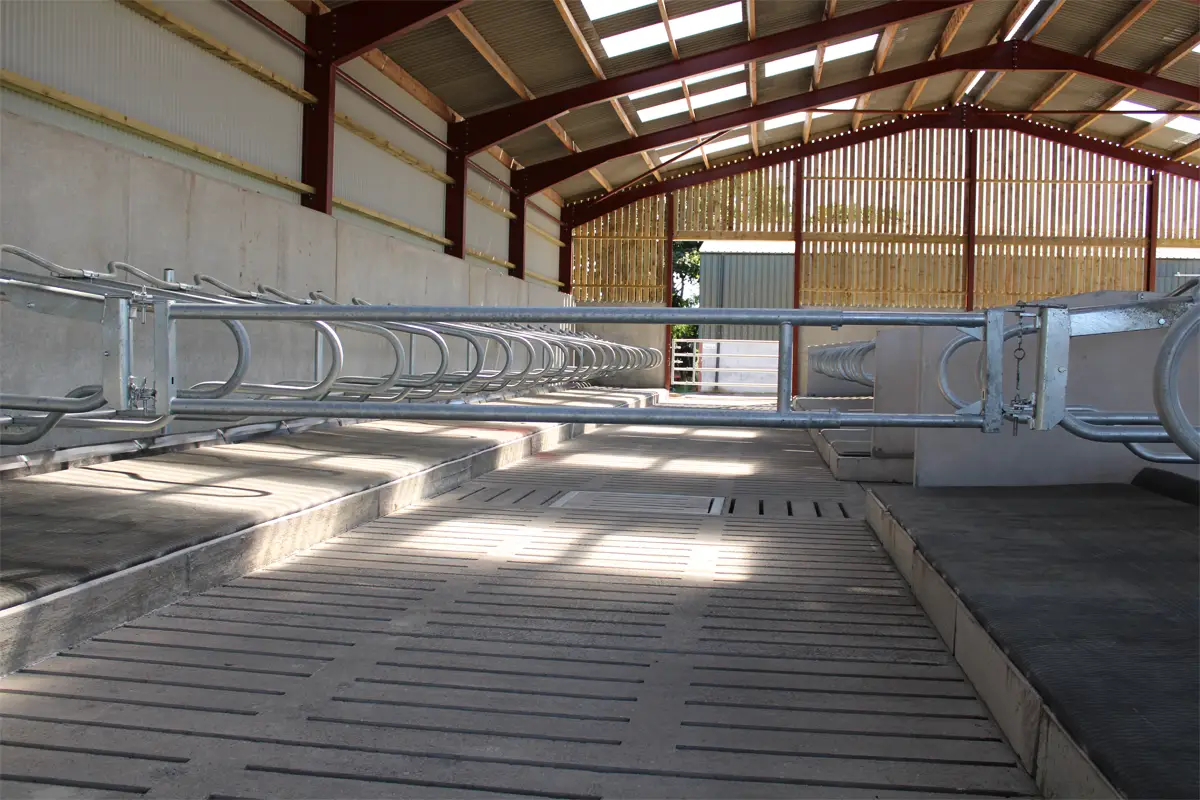 Cubicle Dividing Gate - Teemore Engineering - Livestock Housing Specialists