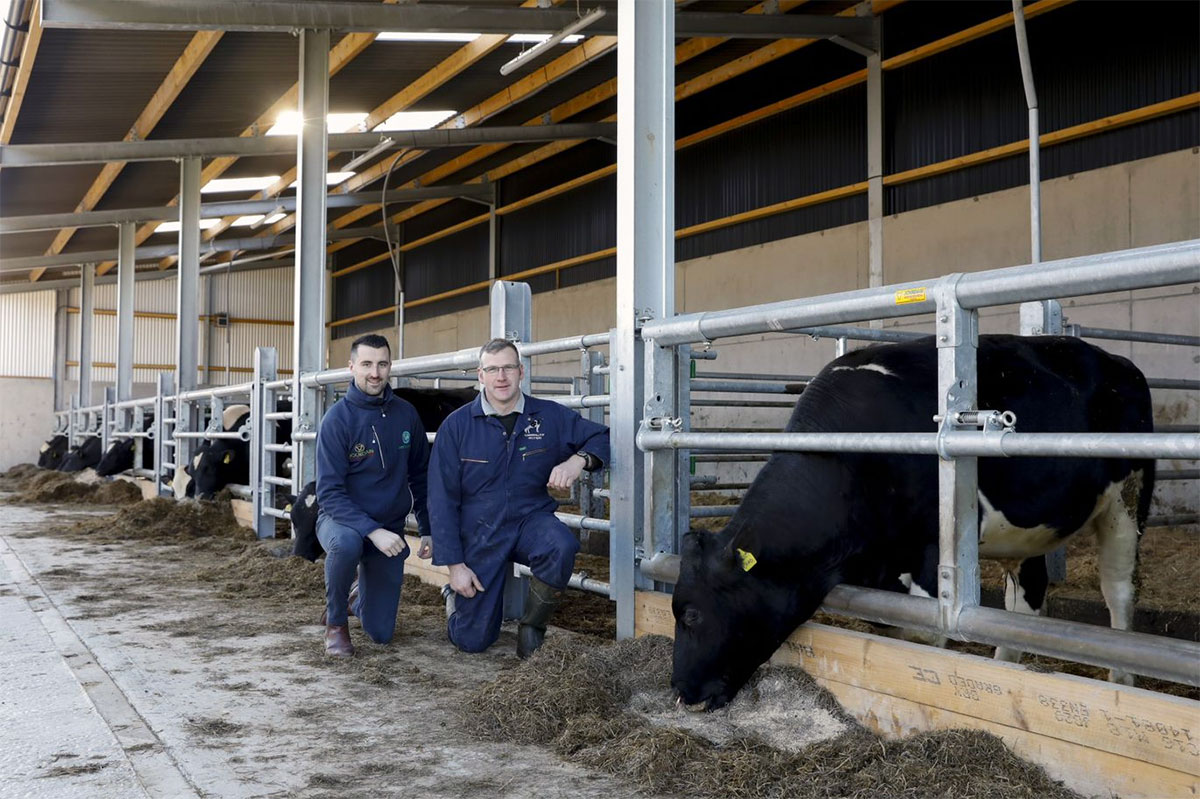 About Teemore Engineering - Livestock Housing Specialists