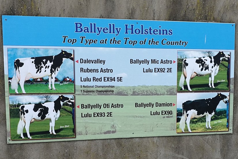 Donegal cows know what’s best - Teemore Engineering - Livestock Housing ...