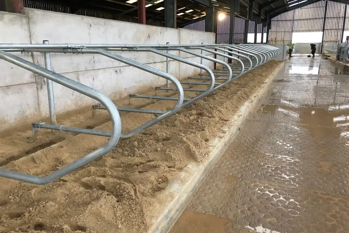 Elite Sand Cubicles - Teemore Engineering - Livestock Housing Specialists
