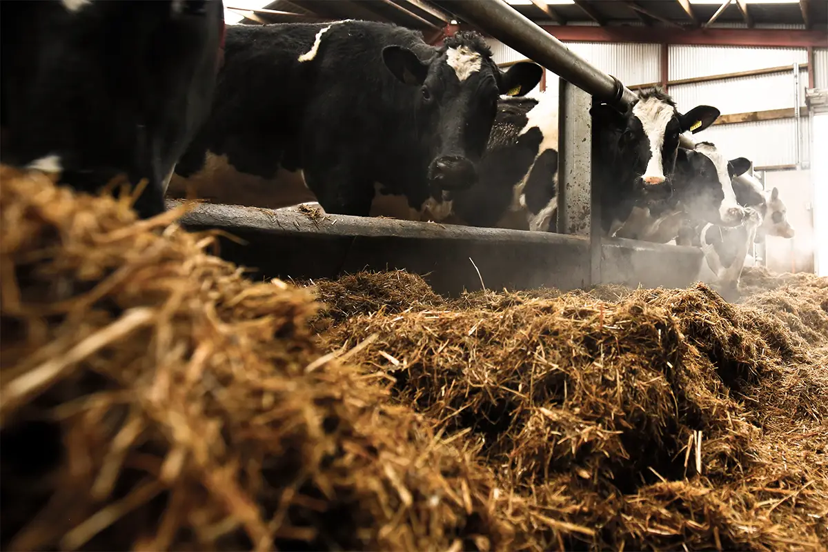 Single Pipe Neck & Rail Spacer Bracket - Teemore Engineering ...