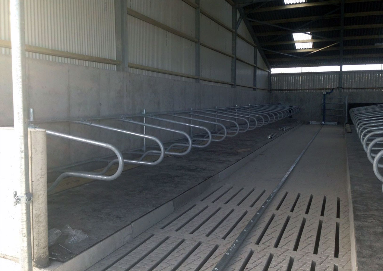 New Cubicle house for Milking Herd - Teemore Engineering - Livestock ...