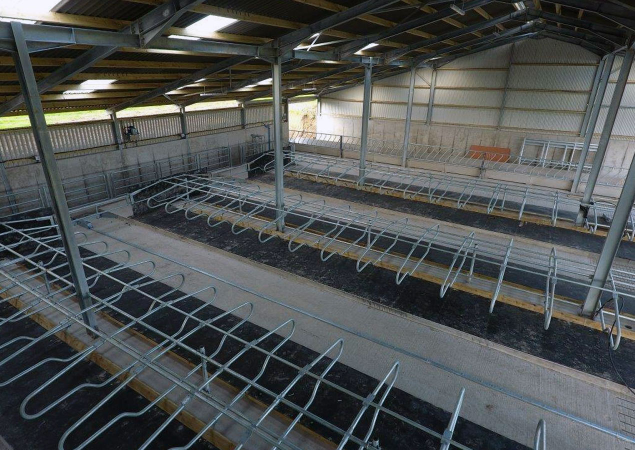 New Cubicle house for Milking Herd - Teemore Engineering - Livestock ...