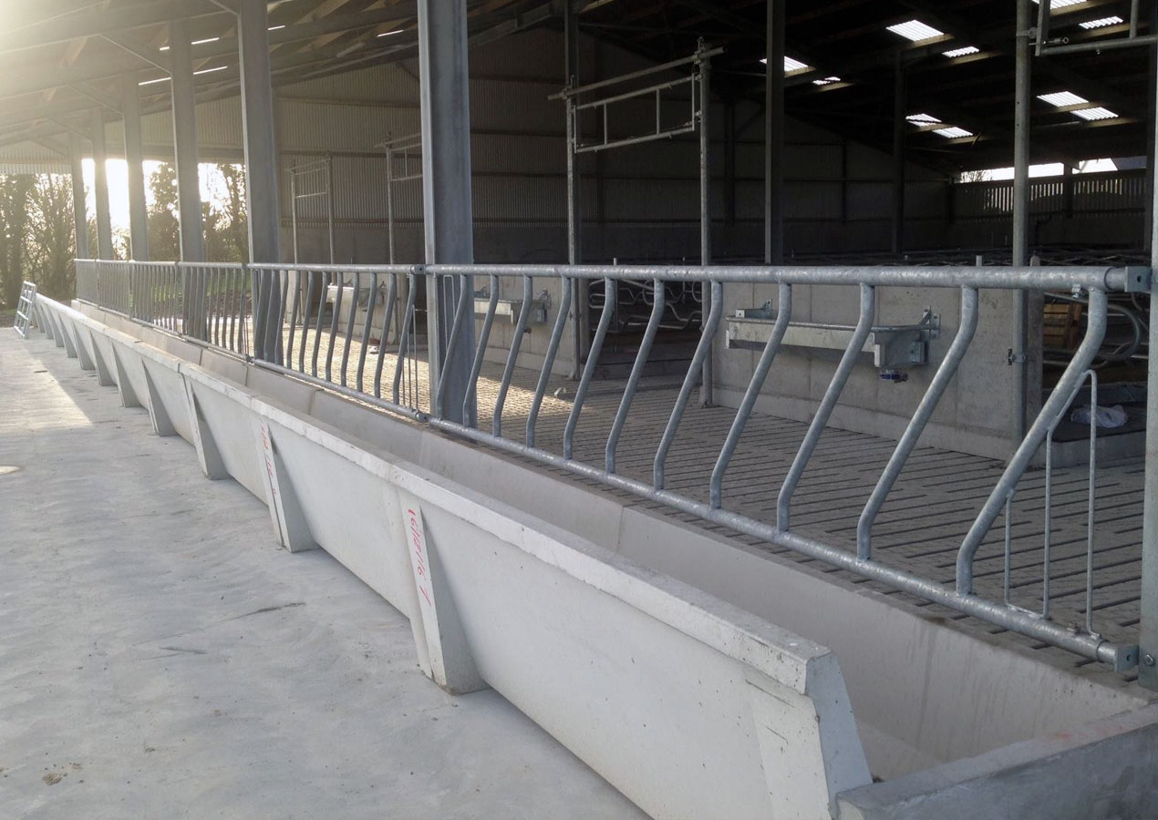 New Cubicle house for Milking Herd - Teemore Engineering - Livestock ...