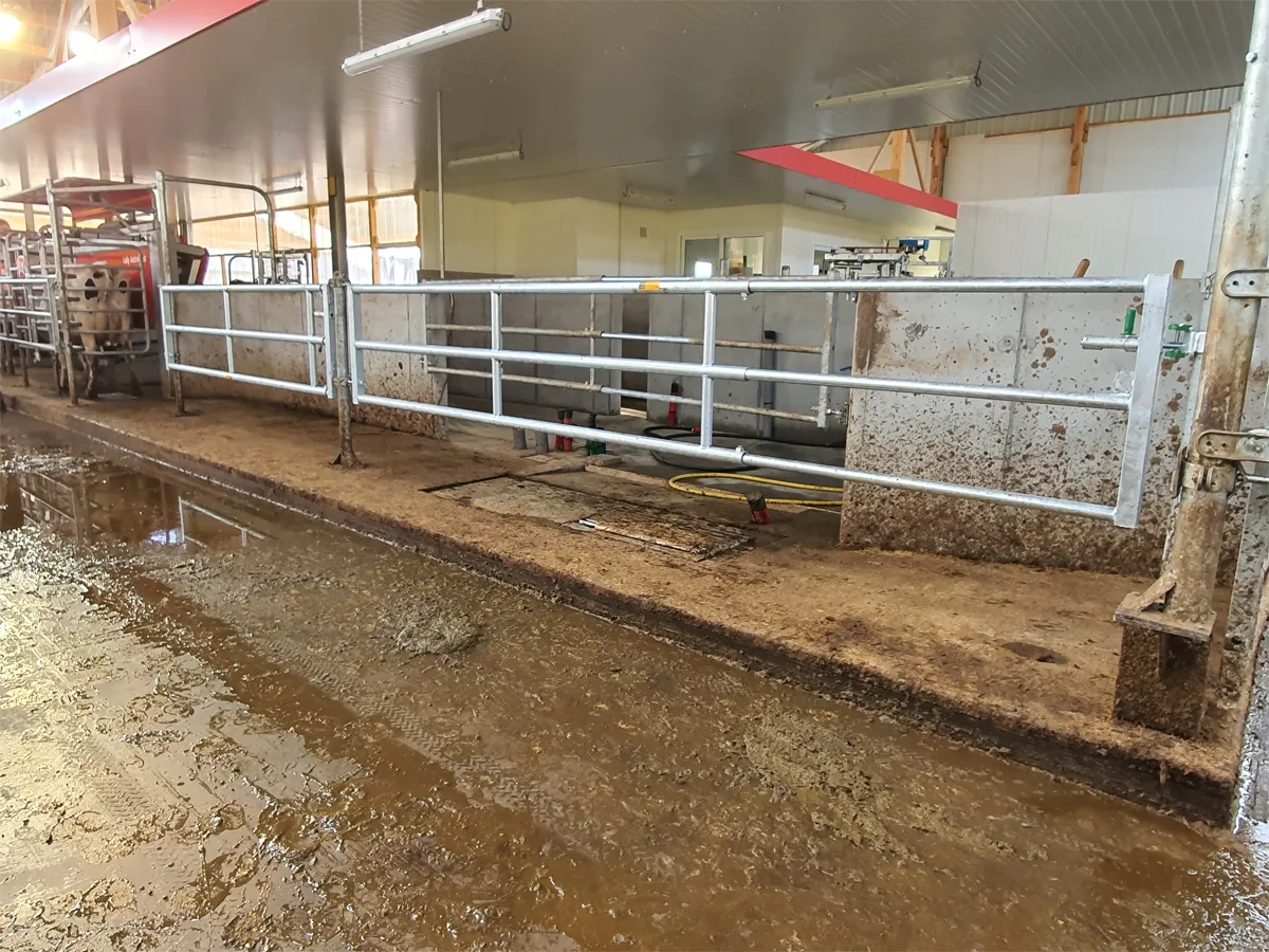 Milky Gate - Teemore Engineering - Livestock Housing Specialists