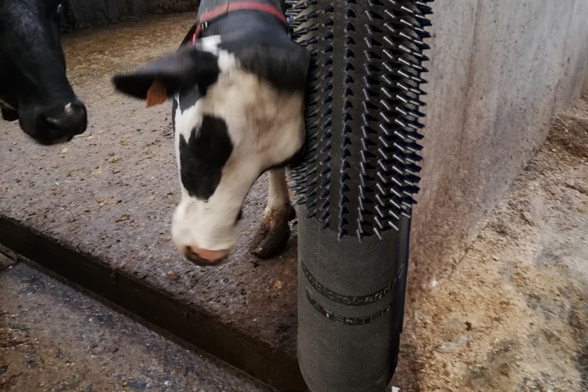 New Dairy Scratchy - prevents injuries and contributes to cleanliness ...