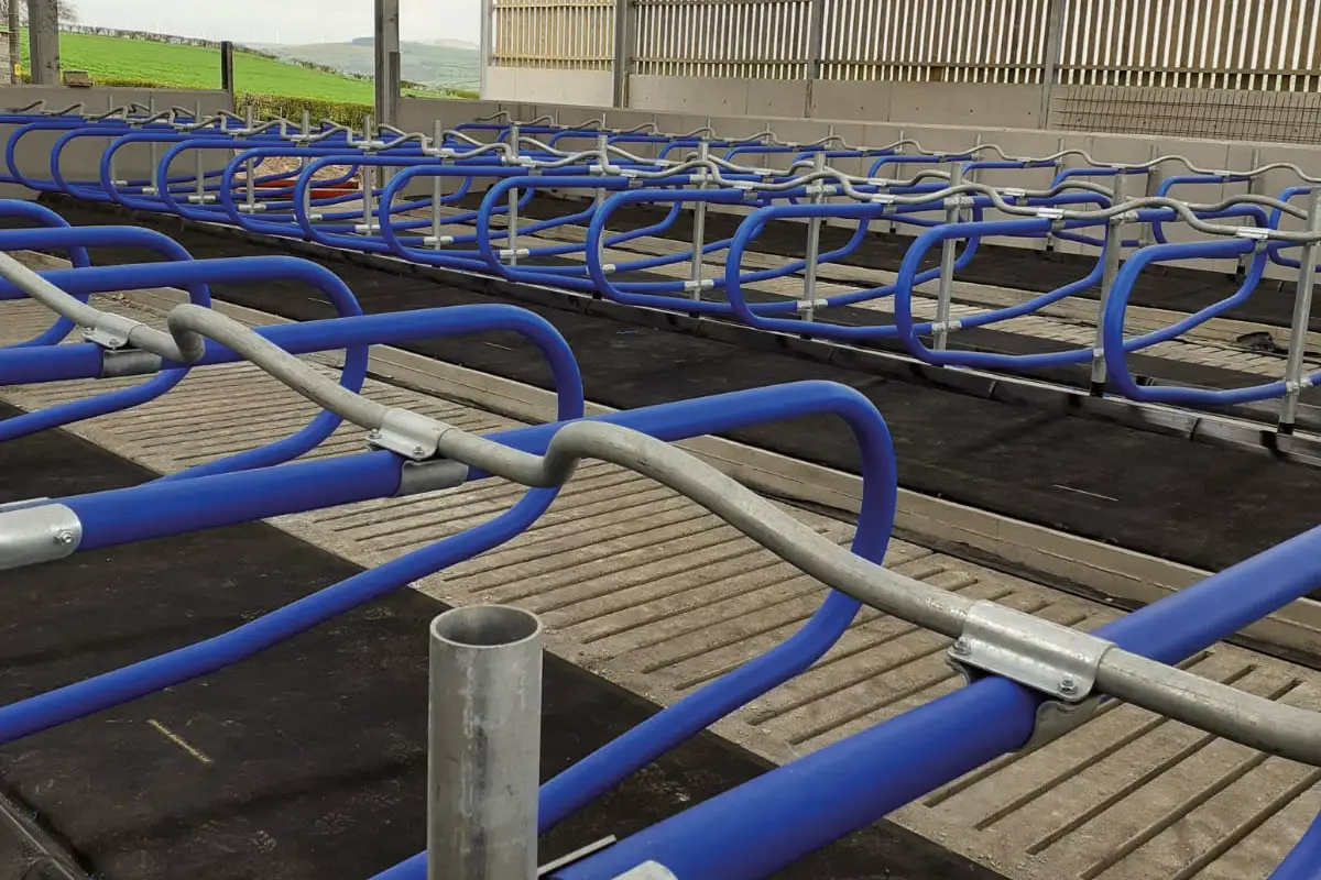 Plastic Cow Cubicle - Teemore Engineering - Livestock Housing Specialists