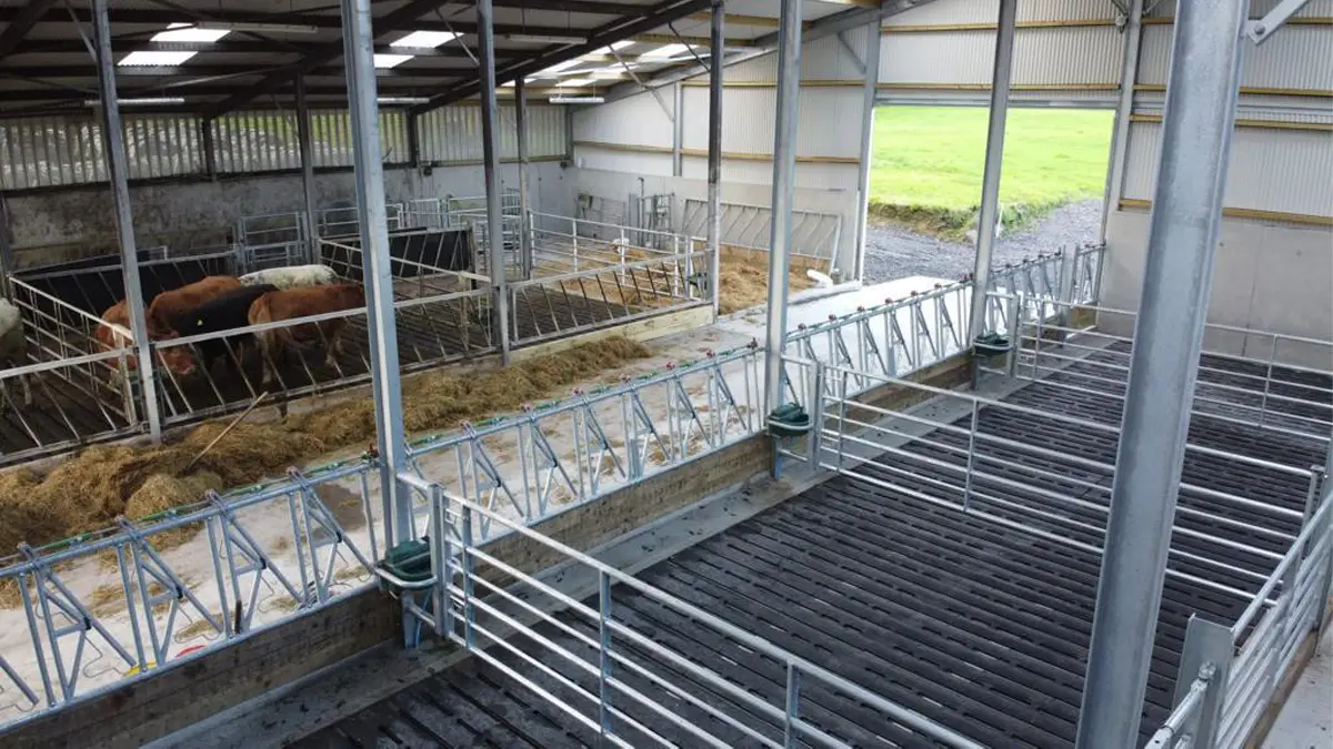 SDR Slat Rubber - Teemore Engineering - Livestock Housing Specialists