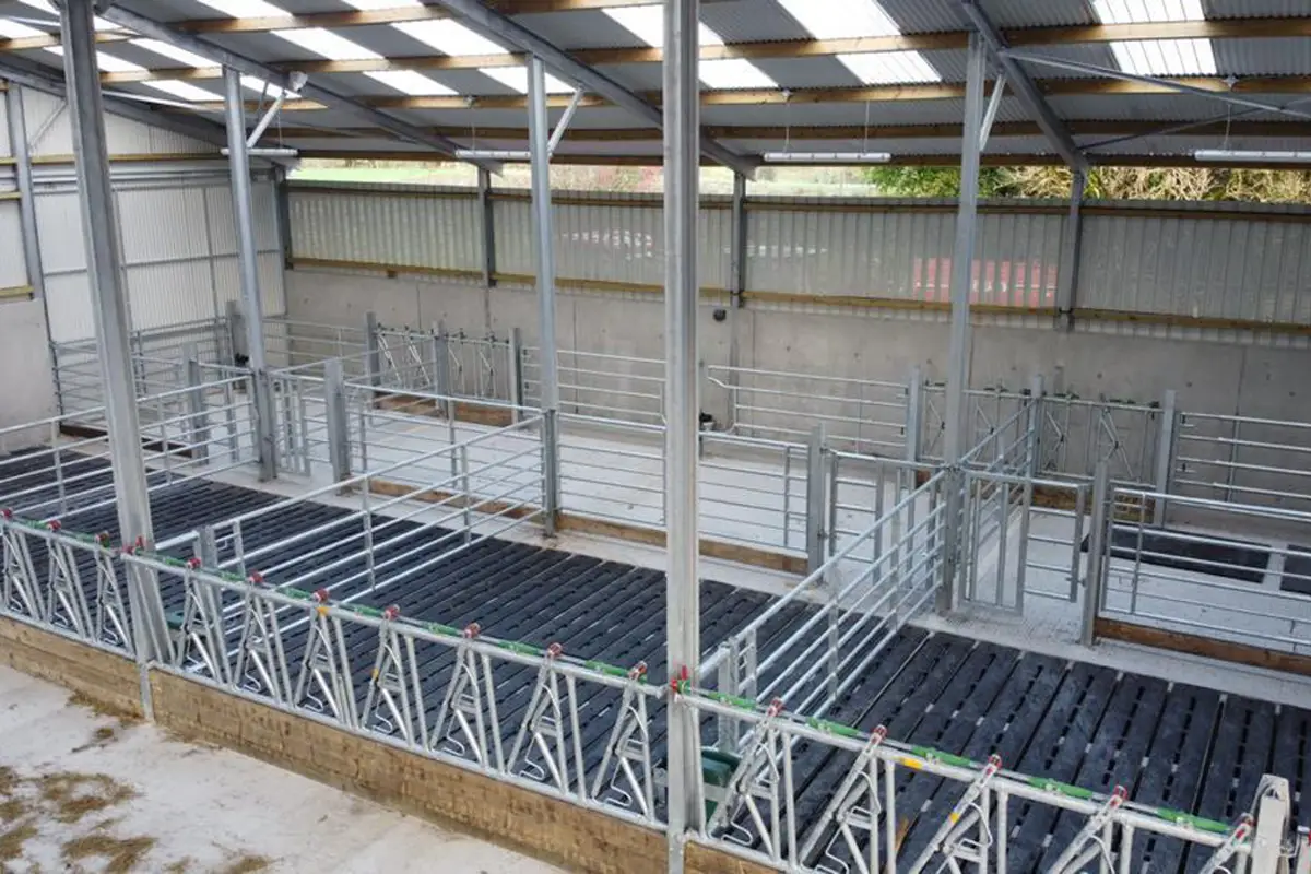 SDR Slat Rubber - Teemore Engineering - Livestock Housing Specialists