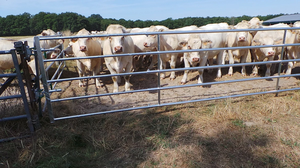 Jourdain Spring Latch Field Gate - Teemore Engineering - Livestock ...