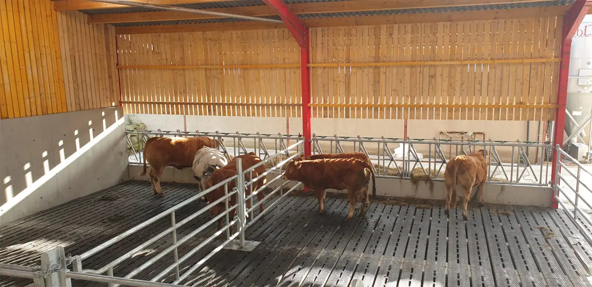 SR Slat Rubber - Teemore Engineering - Livestock Housing Specialists