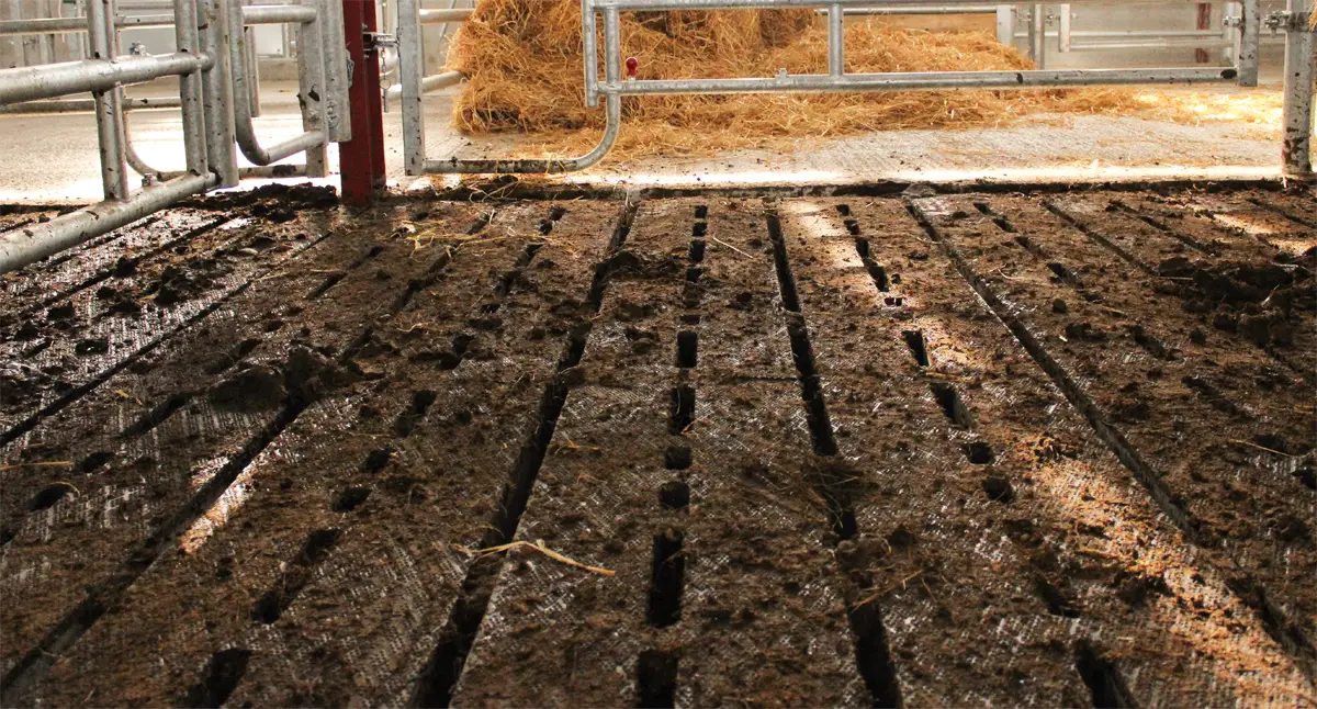 SR Slat Rubber - Teemore Engineering - Livestock Housing Specialists