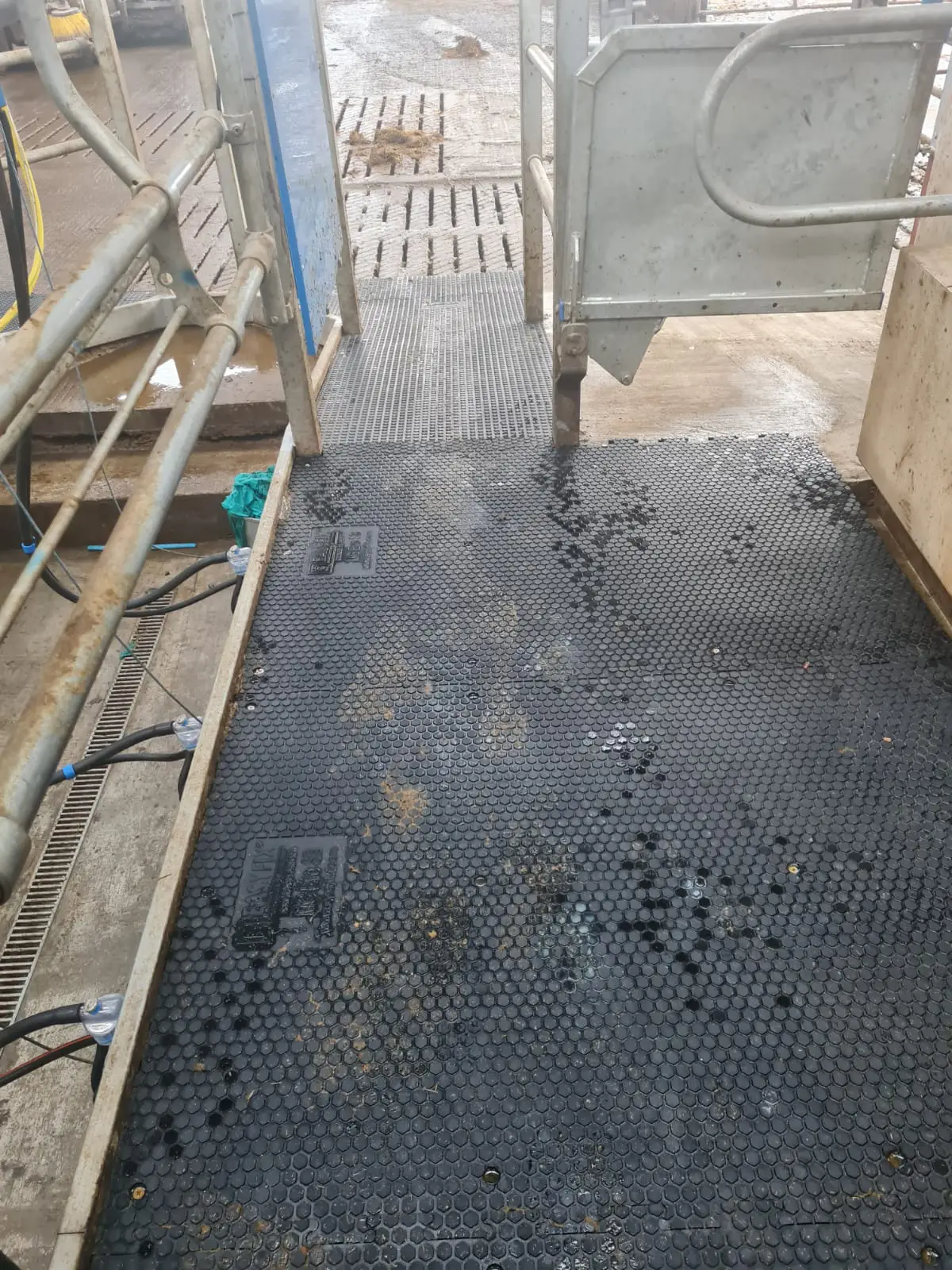 Super Grip Dairy Mat - Teemore Engineering - Livestock Housing Specialists