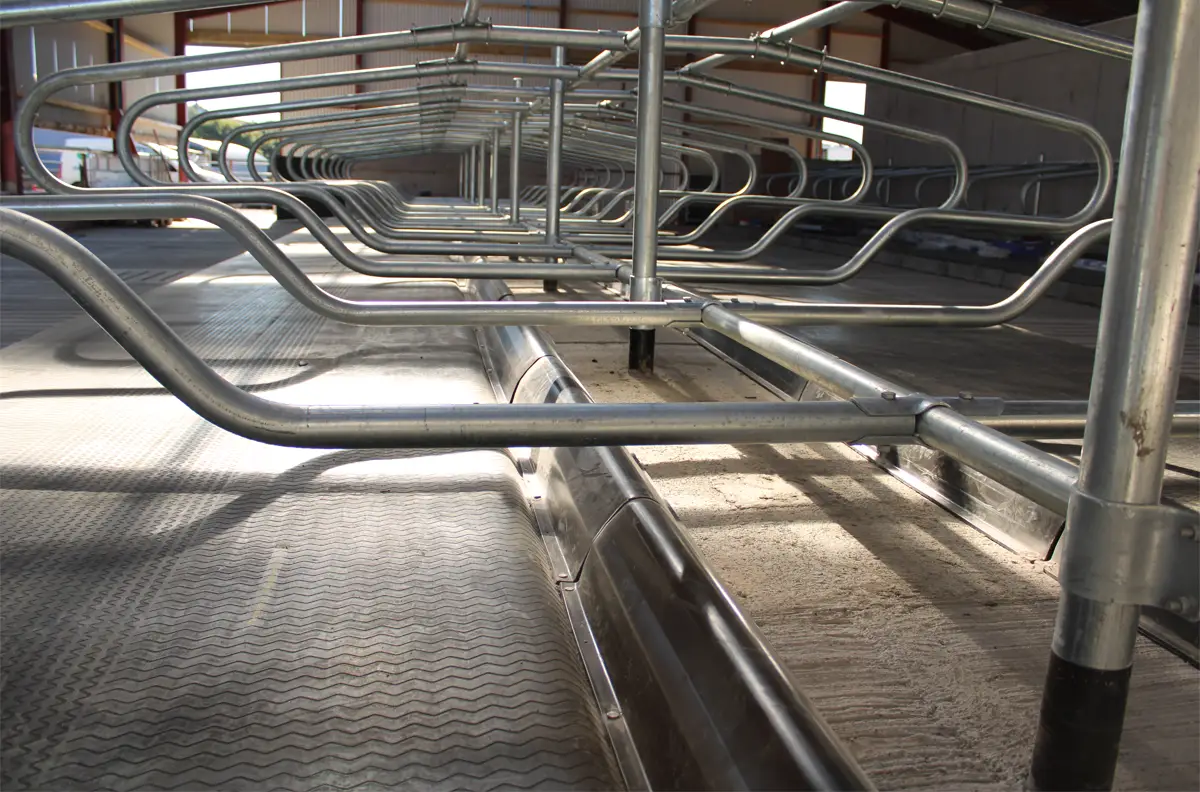 Super Loop Cow Cubicles - Teemore Engineering - Livestock Housing ...