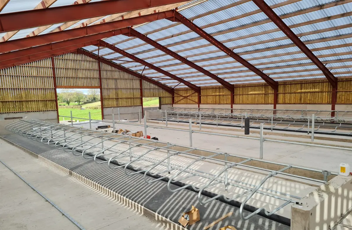 Super Loop Cow Cubicles - Teemore Engineering - Livestock Housing ...
