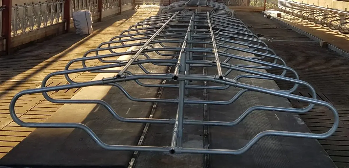 Super Loop Cow Cubicles - Teemore Engineering - Livestock Housing ...