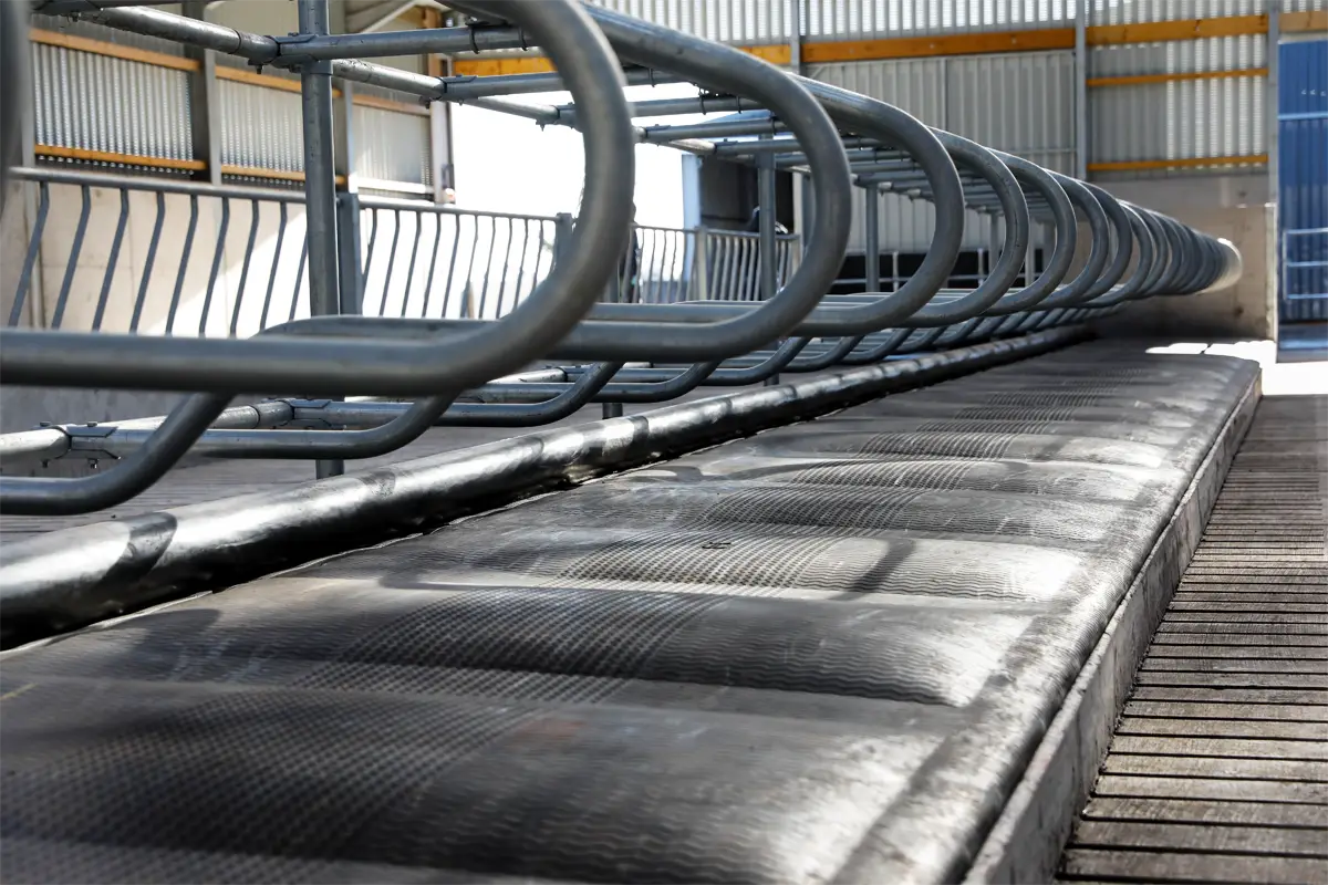 Super Loop Plus Cow Cubicles - Teemore Engineering - Livestock Housing ...