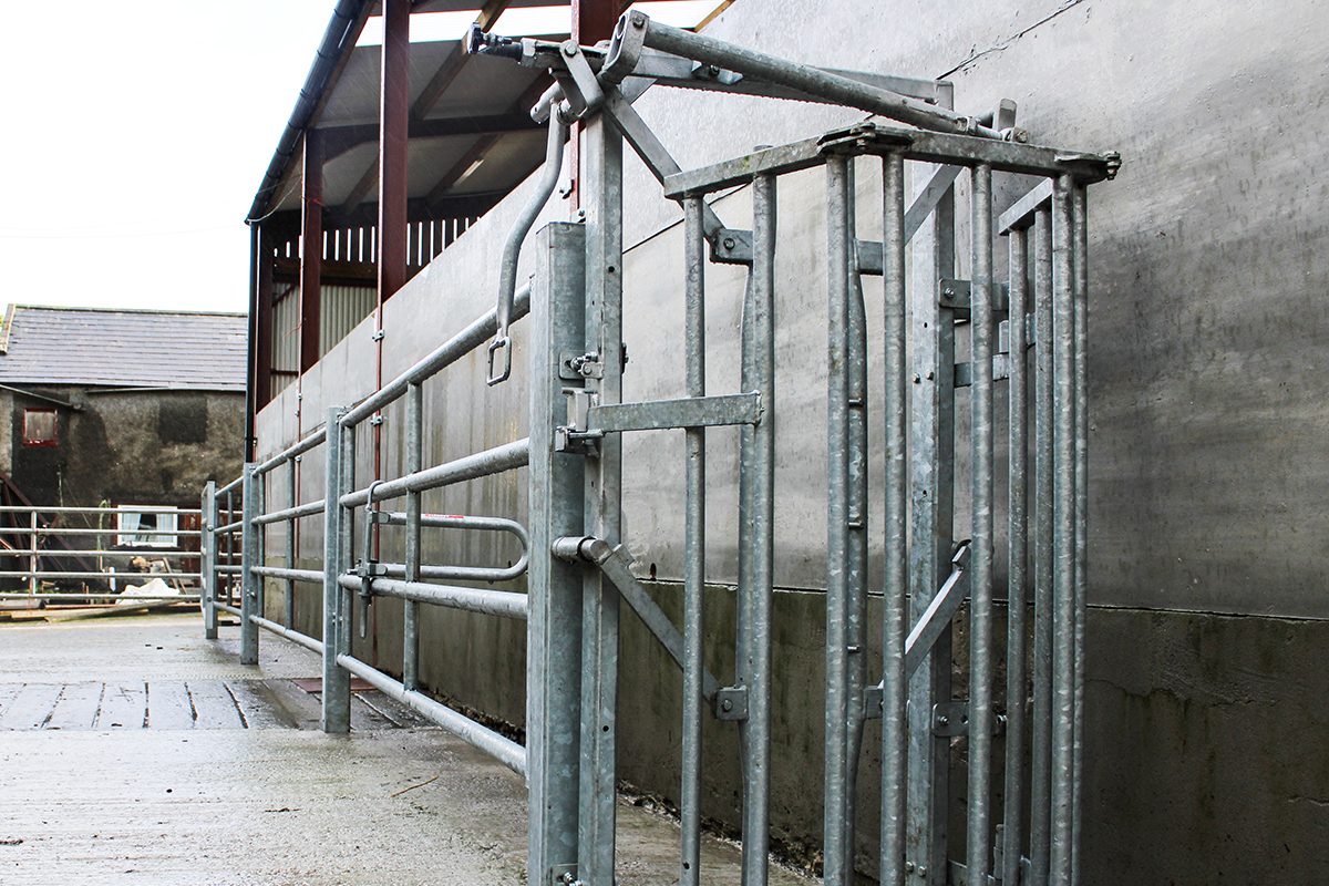 Teemore Engineering - Livestock Housing Specialists