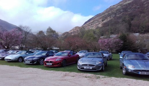 The largest Jaguar Club covering all models | Jaguar Enthusiasts' Club