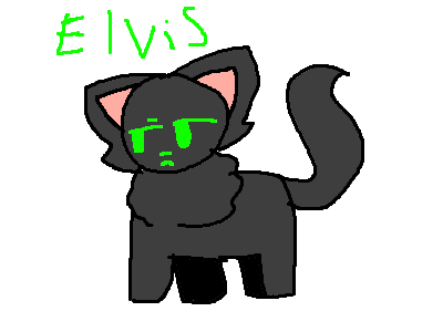 The Animator - my cats as humans by -Fern_artz-